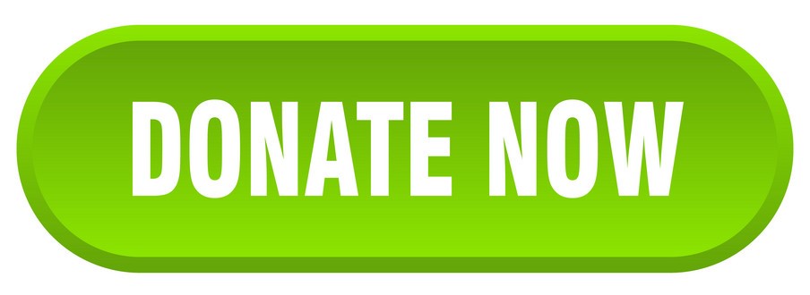 University City Swim Club - Donate